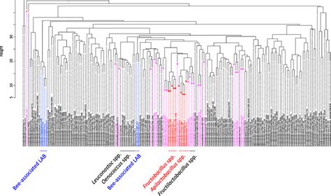 The Dendrogram Shows Hierarchical Clustering Produced Based On