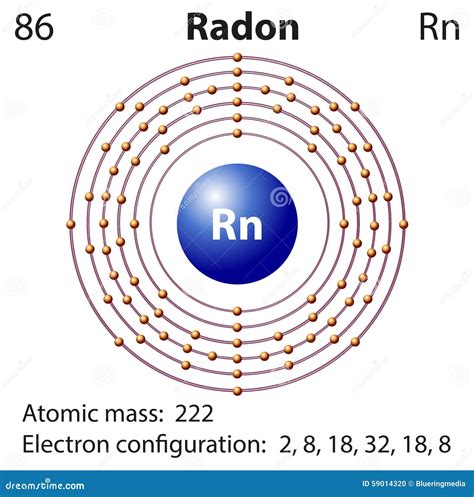 Diagram Representation Of The Element Radon Stock Illustration Image