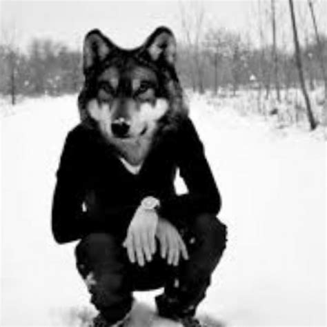 живчик 000 Youtube