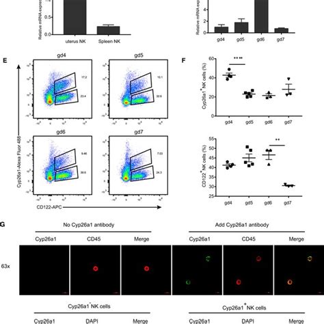 Verification Of Single Cell‐population Transcriptome Sequencing A
