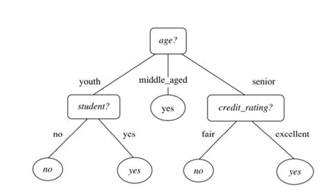 Decision Tree Structure Decision Tree Induction Download Scientific Diagram