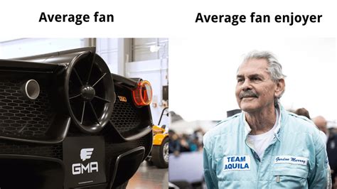 Average Fan Vs Average Fan Enjoyer Rcarmemes