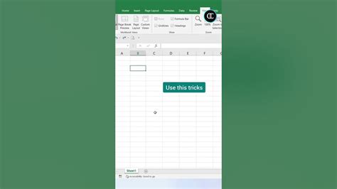 🔥 Master Excels Hidden Gem Autofit Columns With View Code 💡📊 Shorts