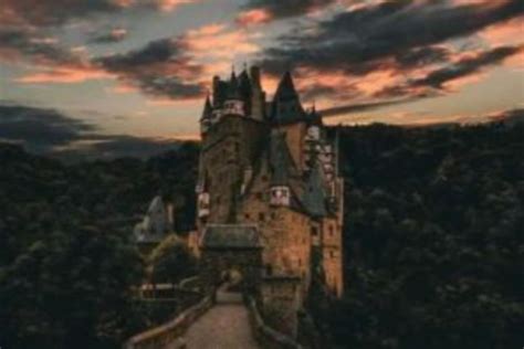 توییت هری پاتر پارت ۵ تستچی