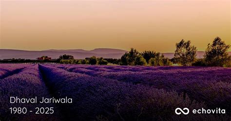 Dhaval Jariwala Obituary 1980 2025 Watchung Nj