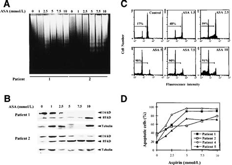 Induction Of Apoptosis By Aspirin On B Cll Cells A Effect Of Aspirin