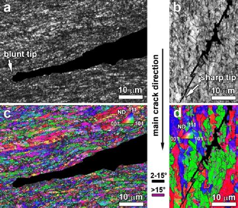 Microstructure Under Ductile Fracture Surface Left And Under Fracture