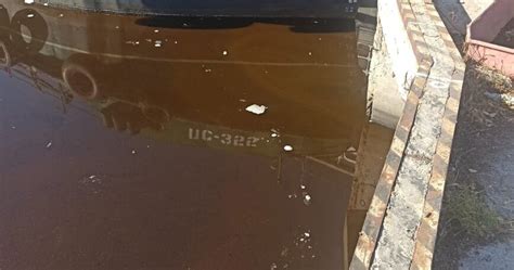 Забруднення Бузького лиману Екології Бузького лиману завдано збитків на 40 млрд гривень