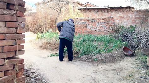 農村80歲大爺撅蔥，大娘屋里做飯，到中午喝二兩熱乎酒，看吃啥飯 Youtube