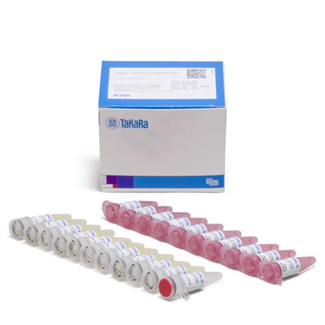 Stellar Electrocompetent Cells For Cloning