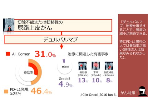 日本がん対策図鑑 【braf陽性肺がん：二次治療（orr）】「タフィンラー＋メキニスト」