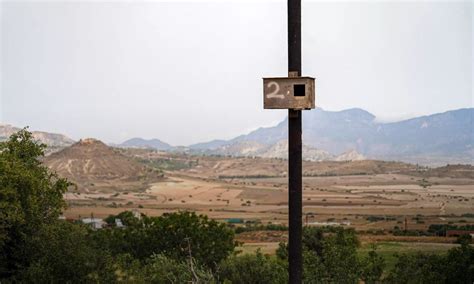 Hooters In Divided Islands Buffer Zone Root Out Poison Knews