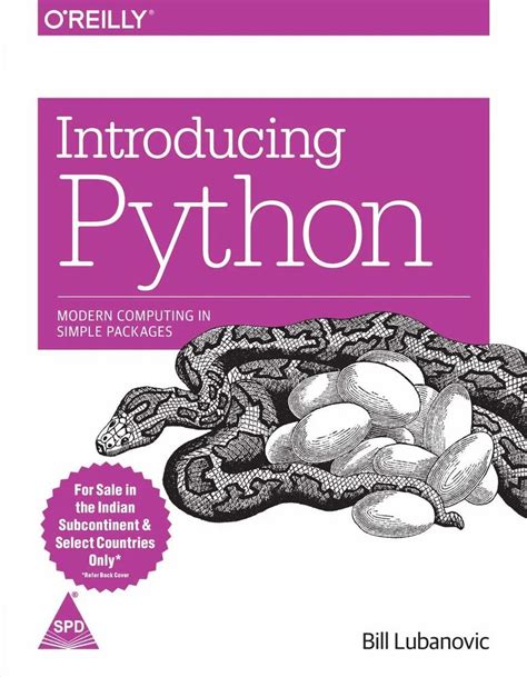 Introducing Python Modern Computing In Simple Packages Books On