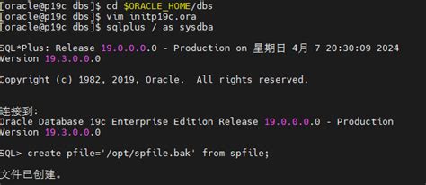 Oracle19c Adg搭建oracle 19c Adg搭建详细步骤 Csdn博客