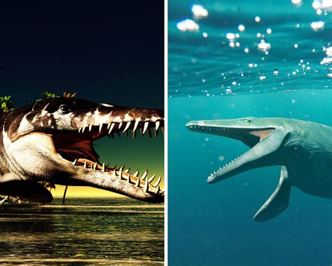 Liopleurodon Vs Mosasaurus Underwater Predators