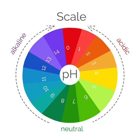 Premium Vector Round Ph Scale For Measuring Acid Alkaline Balance