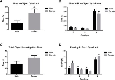 Sex Differences In Exploratory Activity During The Test Trial Of Ort Download Scientific Diagram