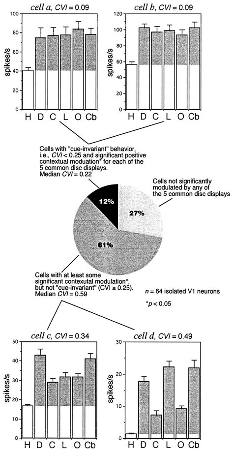 Contextual Modulation In Primary Visual Cortex Journal Of Neuroscience
