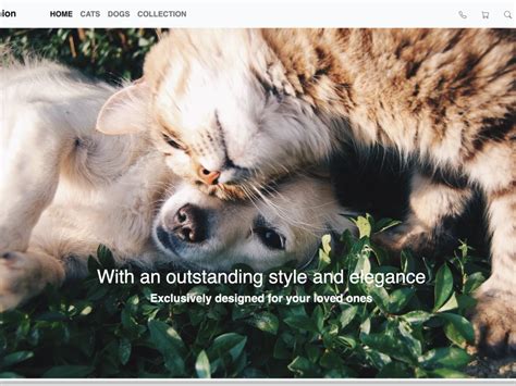 A Front End Developer Reactjs Nextjs Bootstrap Materialui Upwork