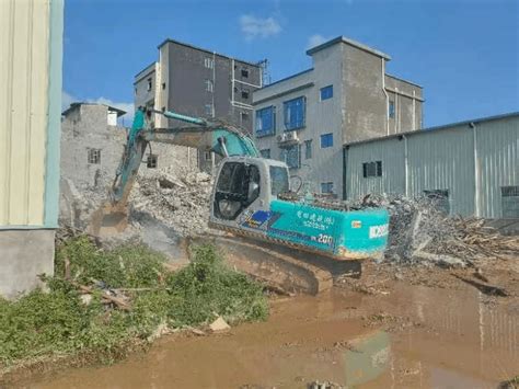 重拳出击园洲镇开展两违清拆行动 建设 违法 整治