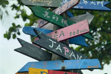 Data Driven Attribution Tvscientific