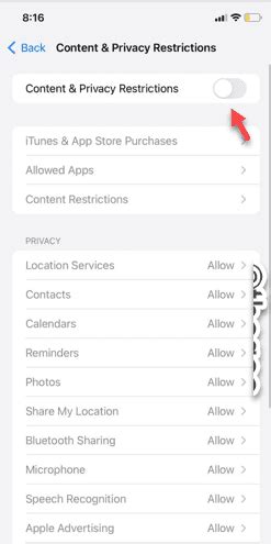 Screen Recording Turning Black Here Is Fix