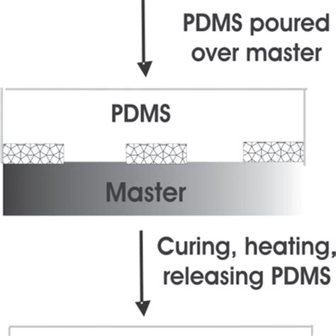 Schematic Representation Of Pdms Replica Fabrication Download