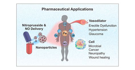 Nitroprusside─expanding The Potential Use Of An Old Drug Using