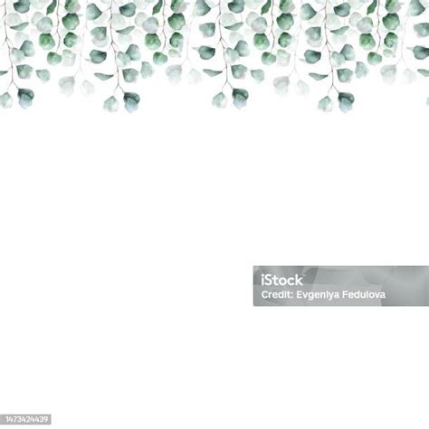 유칼립투스 녹색 잎 원활한 테두리 수채화 꽃 그림입니다 청첩장 인사말 배경 화면 엽서의 배경 0명에 대한 스톡 벡터 아트 및 기타 이미지 Istock
