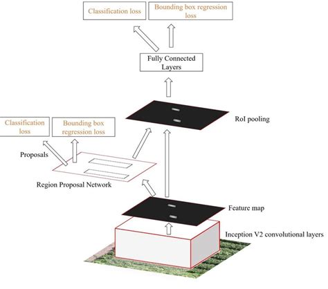 3 Faster Rcnn Architecture Download Scientific Diagram