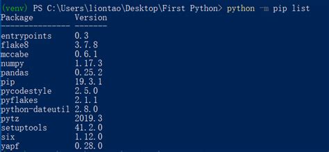安装vscode并创建第一个python项目 《python 从头开始学 Python》 极客文档