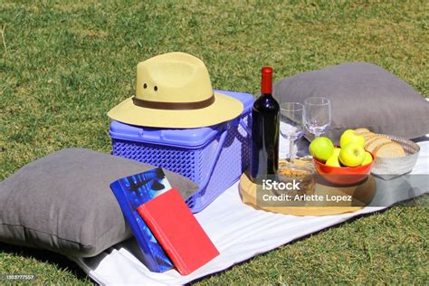 피크닉 음식 와인 책 바구니 잔디밭에 식탁보와 쿠션 숲 야외 배경의 나무 건강한 생활방식에 대한 스톡 사진 및 기타 이미지