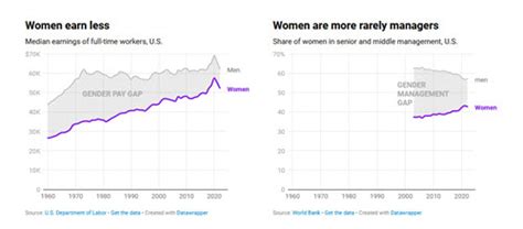 Data Stories Gender Gaps And Disparities Tdwi