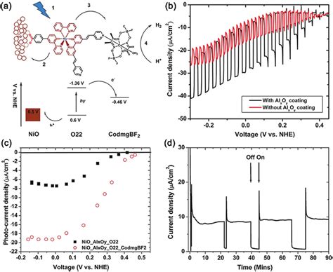 A Scheme And Energy Diagram Of The Dye Sensitized Nio Electrode B Download Scientific