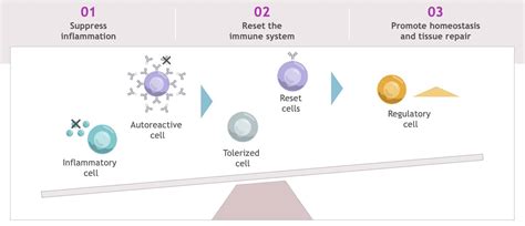 Sequential Immunotherapy For Functional Cures In Autoimmunity Plenge Gen Rplengeplenge Gen