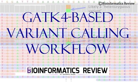 Ovarflow A Gatk4 Based Variant Calling Workflow Rbioinfo