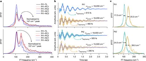 Chirp Dependence Dephasing Dynamics And Lineshape Analyses Of