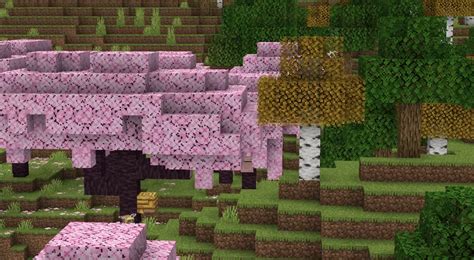 Universal Cherry Grove Colormap Minecraft Texture Pack