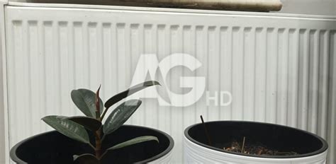 Aist Дулааны хязгаарлалттай өвөлжих эрсдэл үүсжээ Эрчим хүчний үнийг нэмэх эцсийн шийдвэрийг