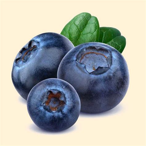 Ягоды — Авокадо фрукты ягоды и овощи оптом