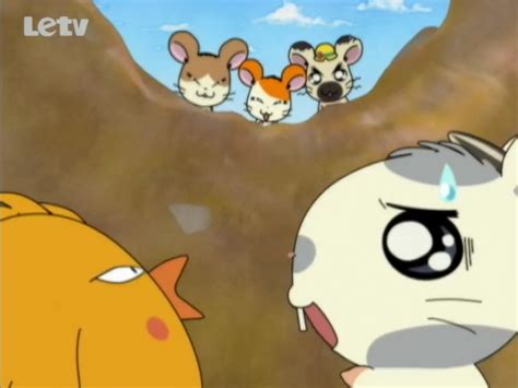 Oxnards Big Problem The Hamtaro Wiki Fandom