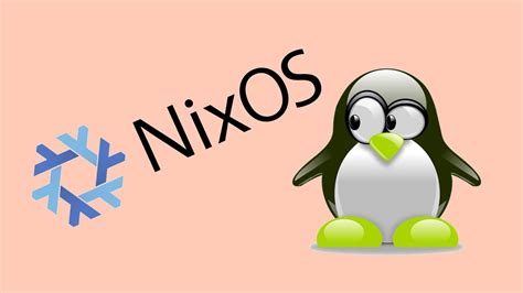 Nixos Easy Installation With Btrfs Luks And Gnome Youtube