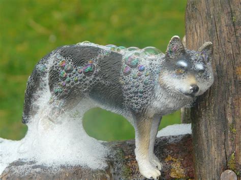 Wolf Having A Bath D By Crazynessgirl On Deviantart