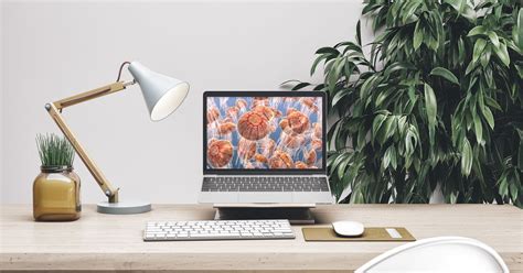 6 Best Webgl Libraries For Perfect 3d Web Graphics Hackernoon