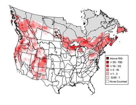 Hermit Thrush Range