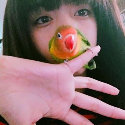 池田依来沙 高清图片堆糖美图壁纸兴趣社区