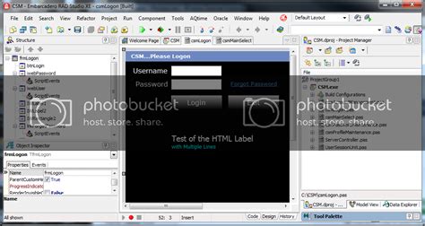 Selectable Multi Line Buttons Or Labels Tms Intraweb Component Pack