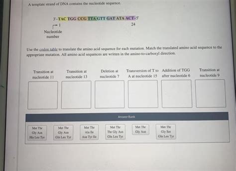 Solved The Given Dna Non Template Sequence Coding Sequence
