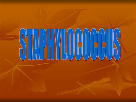 Ppt Staphylococcus Overview Morphology Culture Pathogenicity