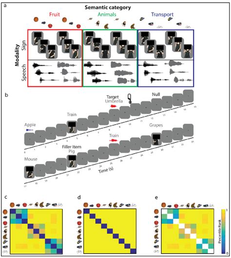 Stimuli Experimental Design And Semantic Models Fig 1a Early Download Scientific Diagram